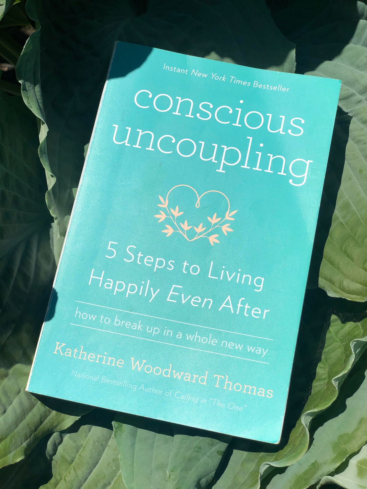 Book Review: Conscious Uncoupling 5 Steps to Living Happily Even After ...